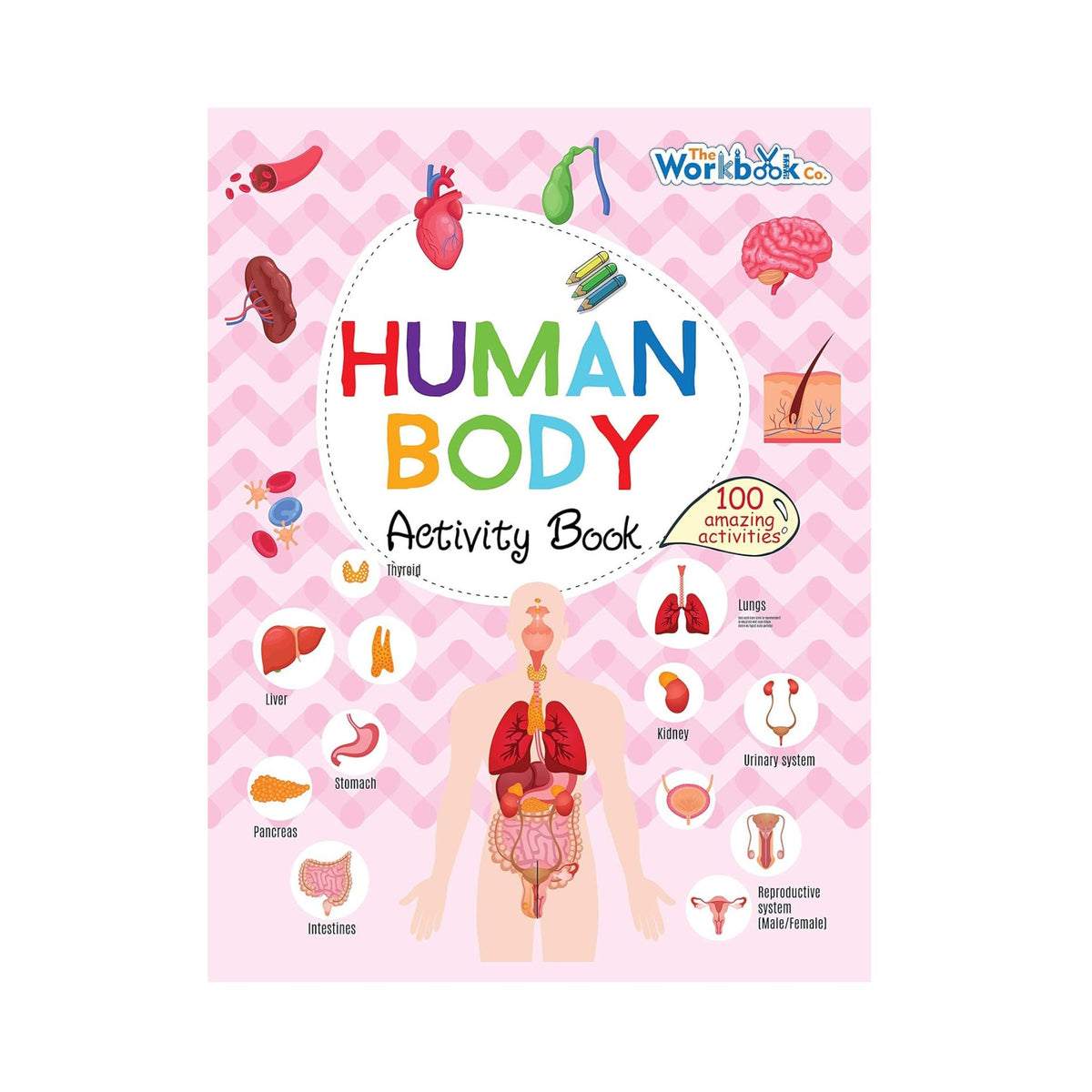 Human Body - Activity Book - Paperback — pegasusforkids