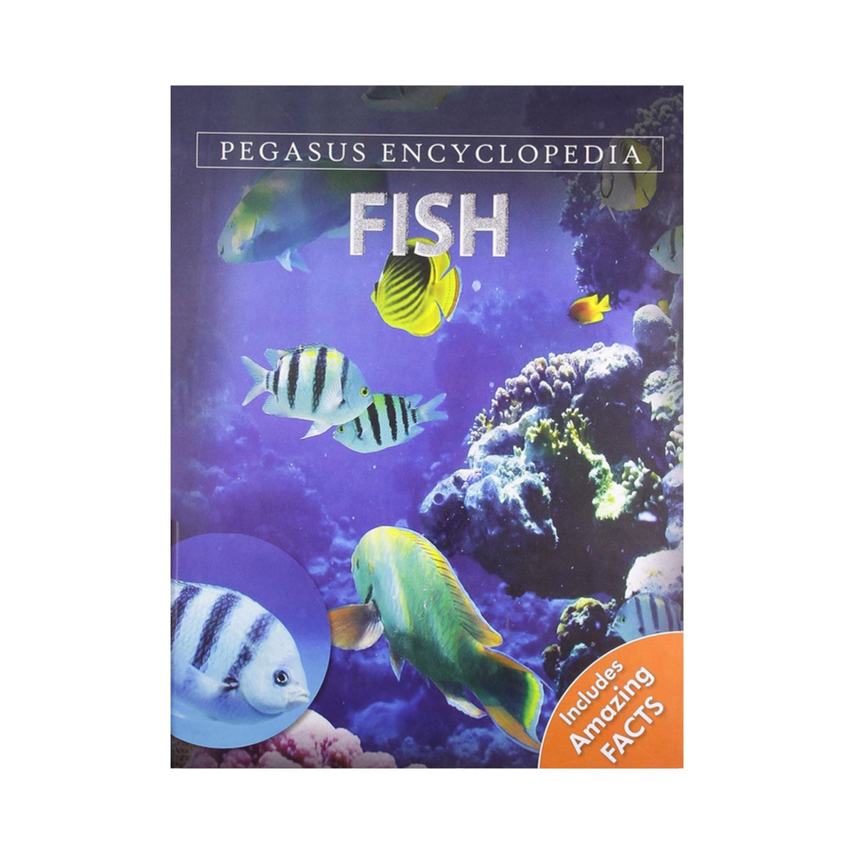 Fish: 1 (Sea World) — pegasusforkids