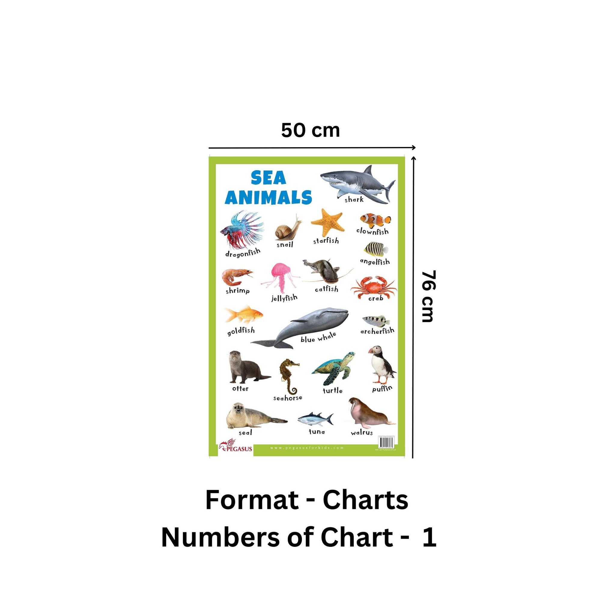 Sea Animals - Thick Laminated Primary Chart — pegasusforkids