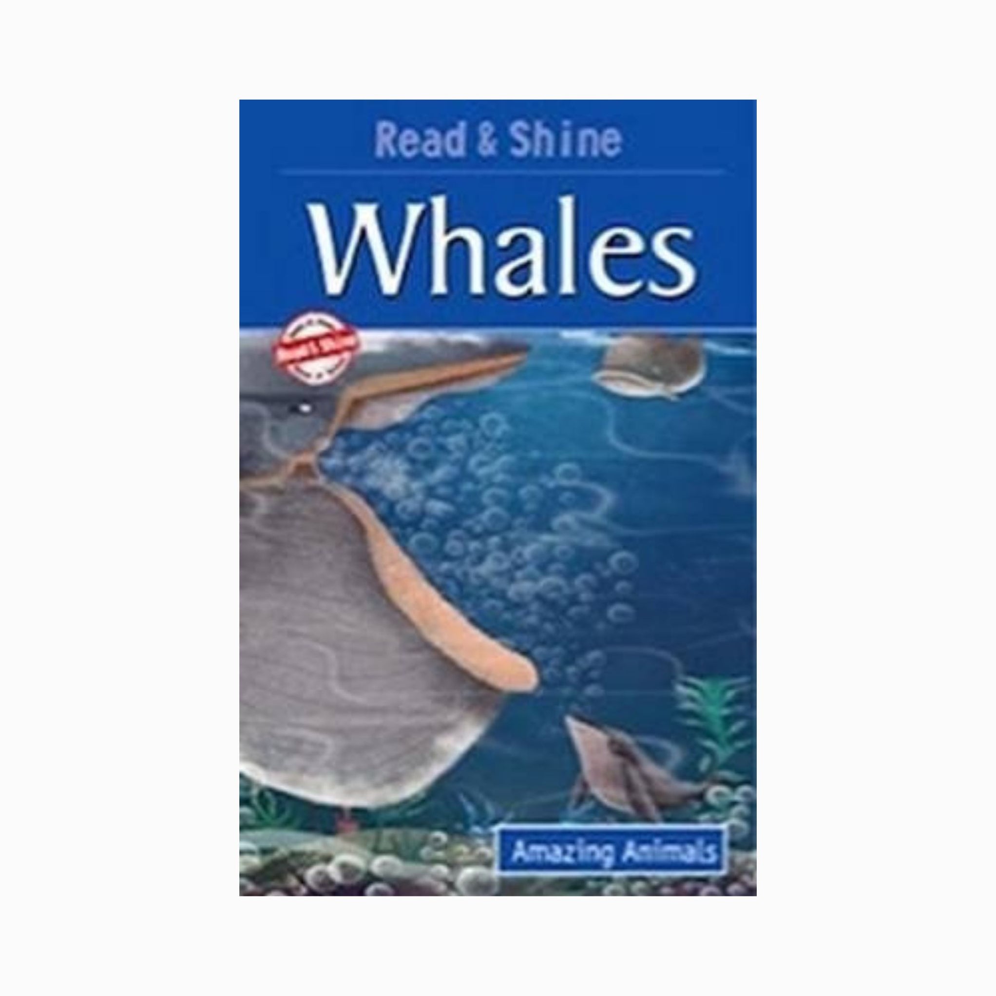 Whale - Amazing Animals - Paperback — pegasusforkids