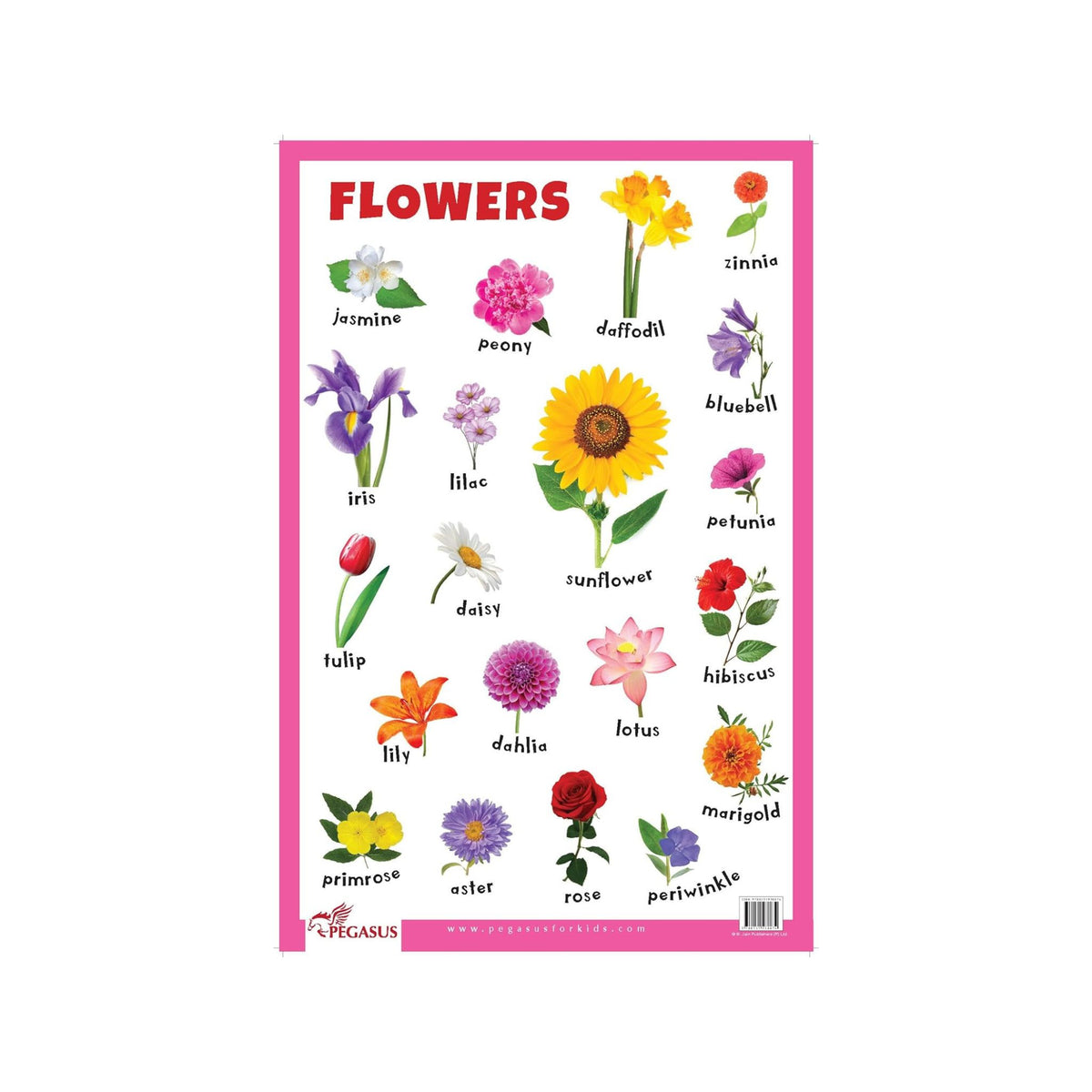 Flowers - Thick Laminated Primary Chart - Poster — pegasusforkids
